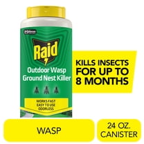 Raid Outdoor Wasp Ground Nest Killer, Dust Insecticide for Outside ...