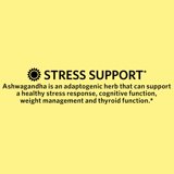 Spring Valley Extra Strength Ashwagandha Dietary Supplement, 1300 mg ...