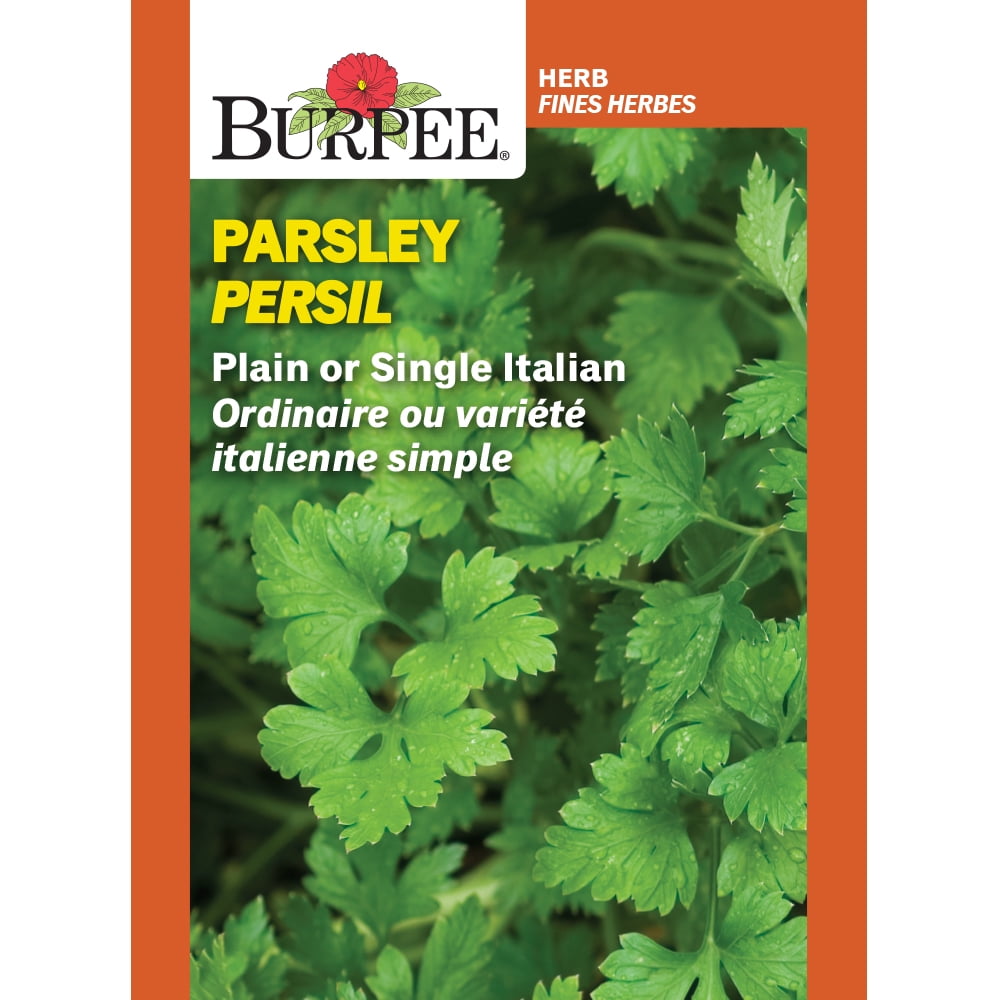 Click here for Burpee Canada Burpee Plain Or Single Italian Parsl... prices