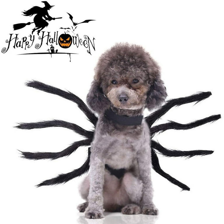 Dog Spider Costume