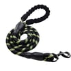 Taglory Long Lead 16ft Extended Retractable Dog Leash for Small to ...