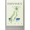 The Odyssey: A Graphic Novel: (A Modern Visual Adaptation of Homer's ...