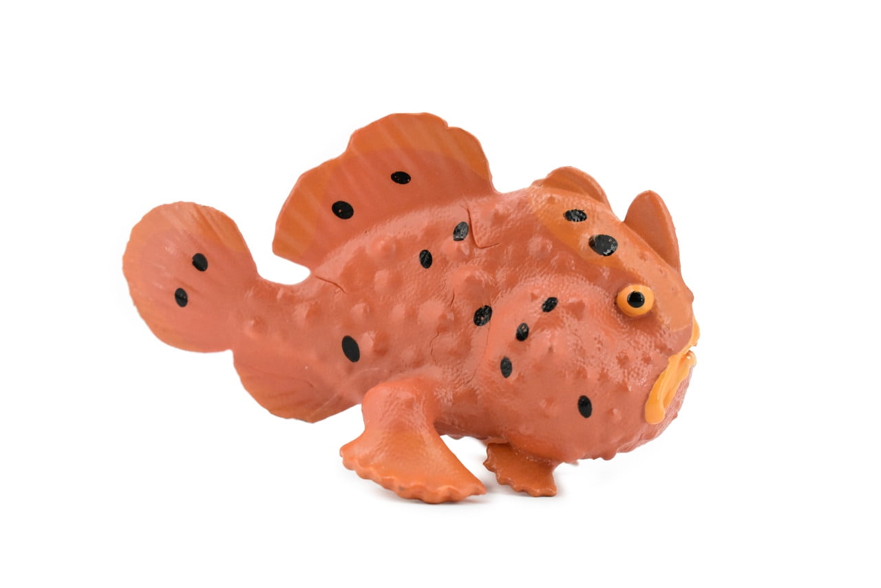 Stonefish, Museum Quality, Hand Painted, Rubber Fish, Educational ...