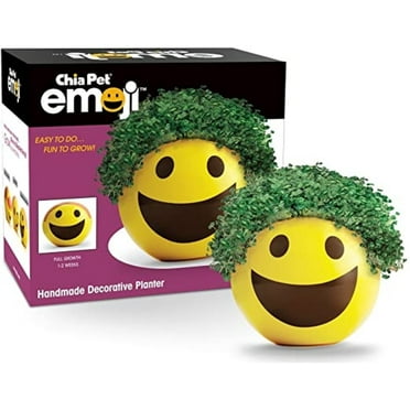 Chia Pet Special Edition: Statue of Liberty with Torch Light Pottery ...