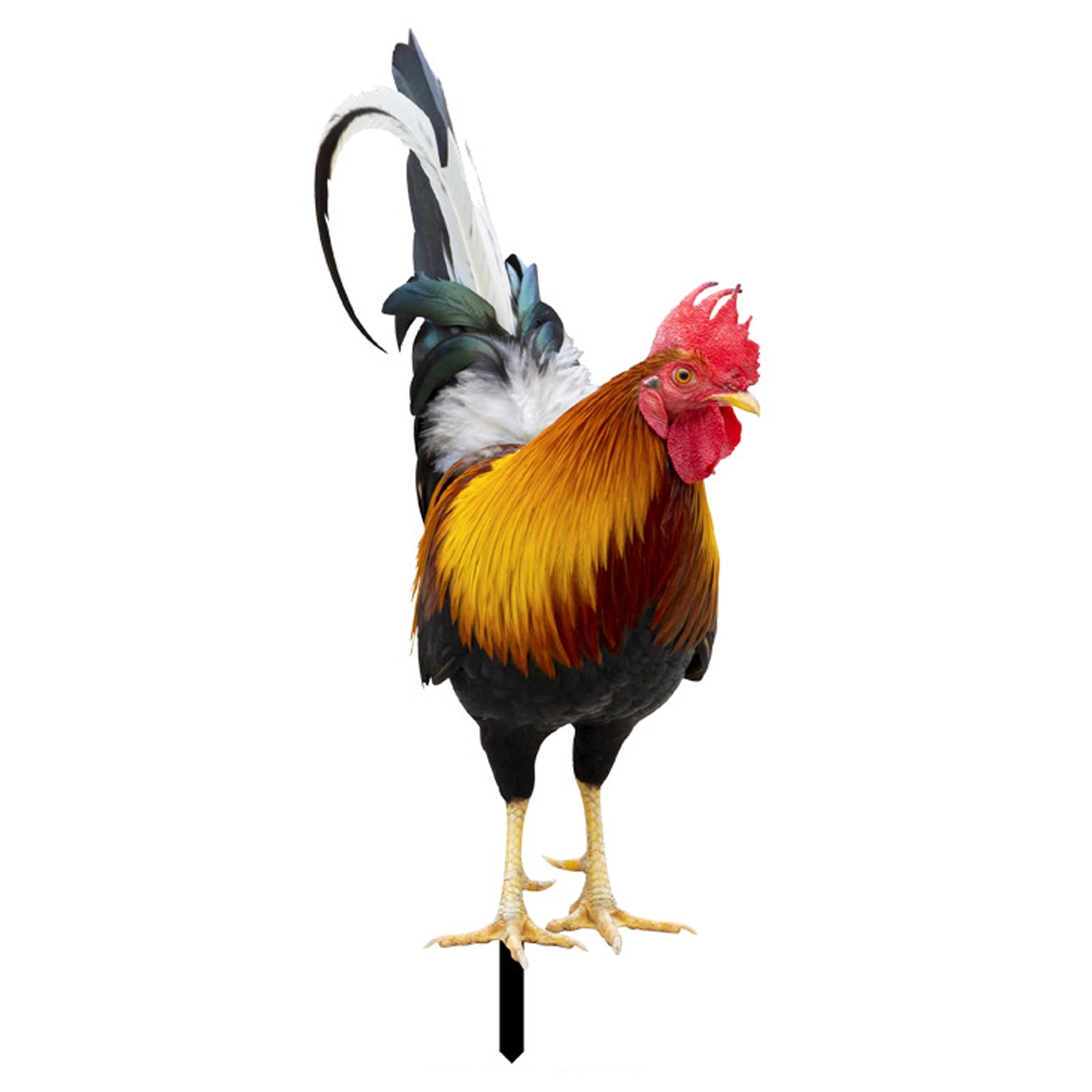 Rooster Yard Decor Garden Chicken Decorations Outdoor Weatherproof ...