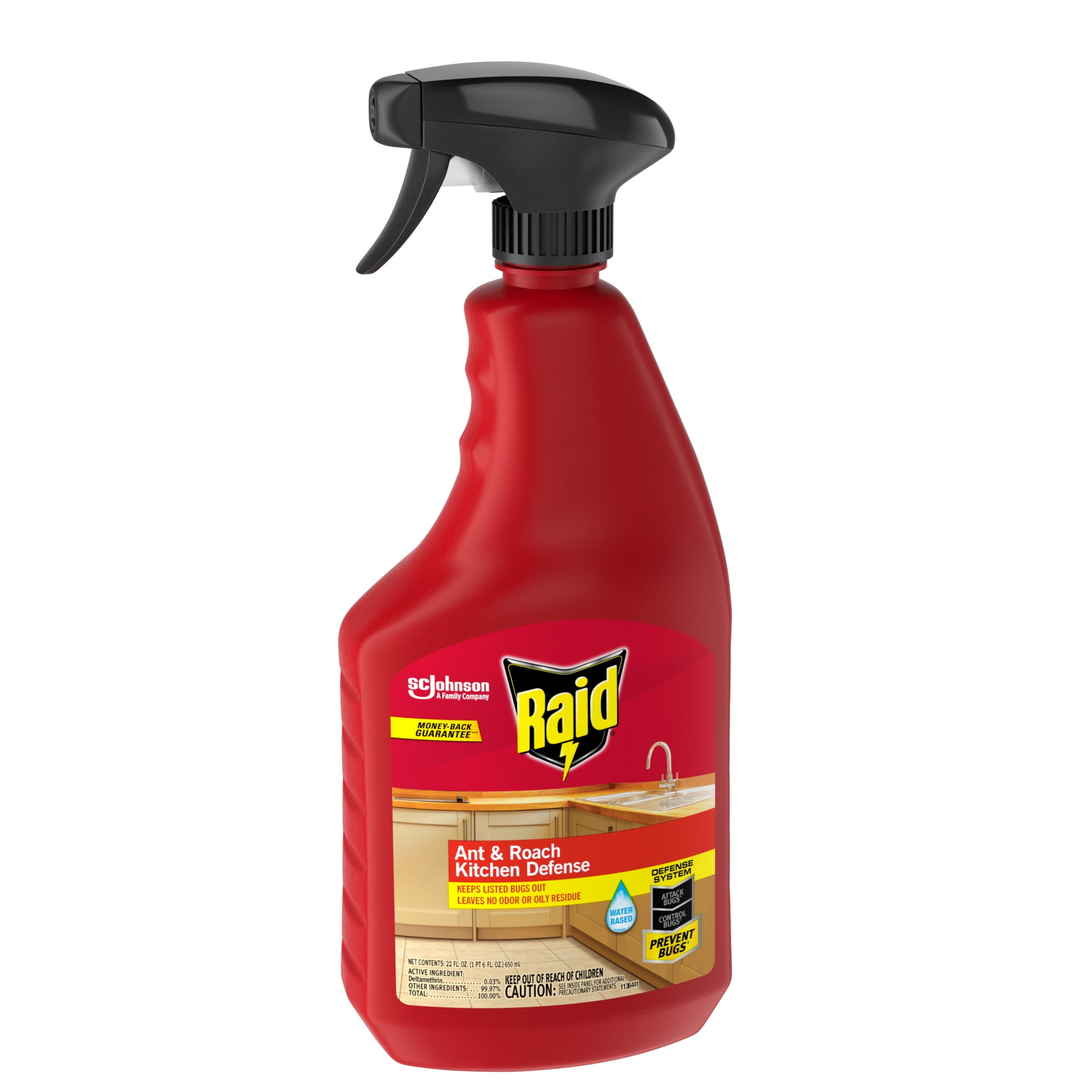 Raid Kitchen Defense Ant and Roach Killer Spray 22 oz Best Deals and ...