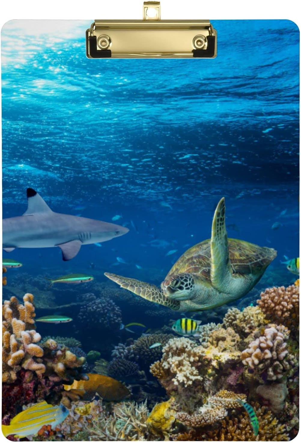 FMSHPON Fish Clipboard Hardboard Wood Nursing Clip Board and Pull for ...