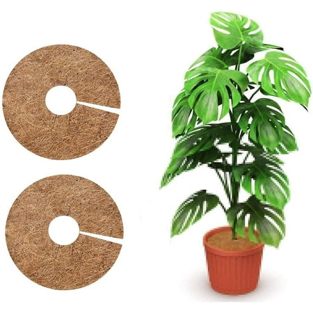 Coco Coir Fiber Tree Ring, Tree Protector Mats, Coconut Fibers Mulch ...