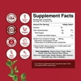 Natural Cranberry Extract Gummies for Adults - Chewable Antioxidant ...