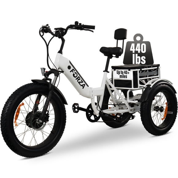 Folding Electric Tricycle Adults