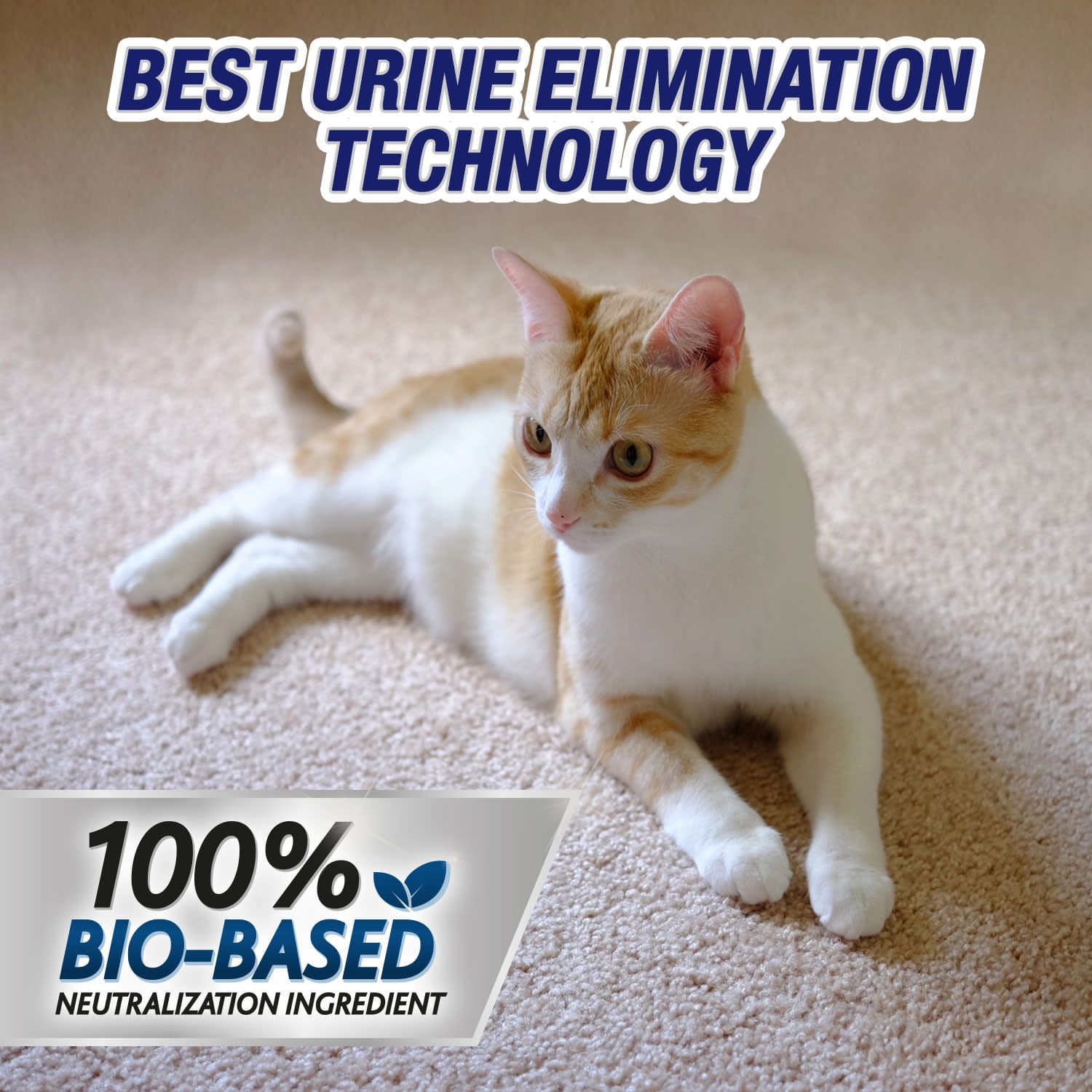 Resolve Urine Destroyer Pet Urine Stain and Odor Remover Spray, 32oz Best Deals and Price ...