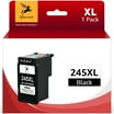Inkfun 2 Pack 245XL Black Ink Cartridges for Canon Pixma MG2500 TR4500 ...