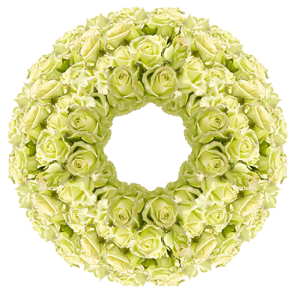 250 Stems of Jade Roses- Fresh Flower Delivery - Walmart.com