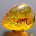 HPDL Insect Stone Scorpions Inclusion Amber Resin Baltic Pendant ...