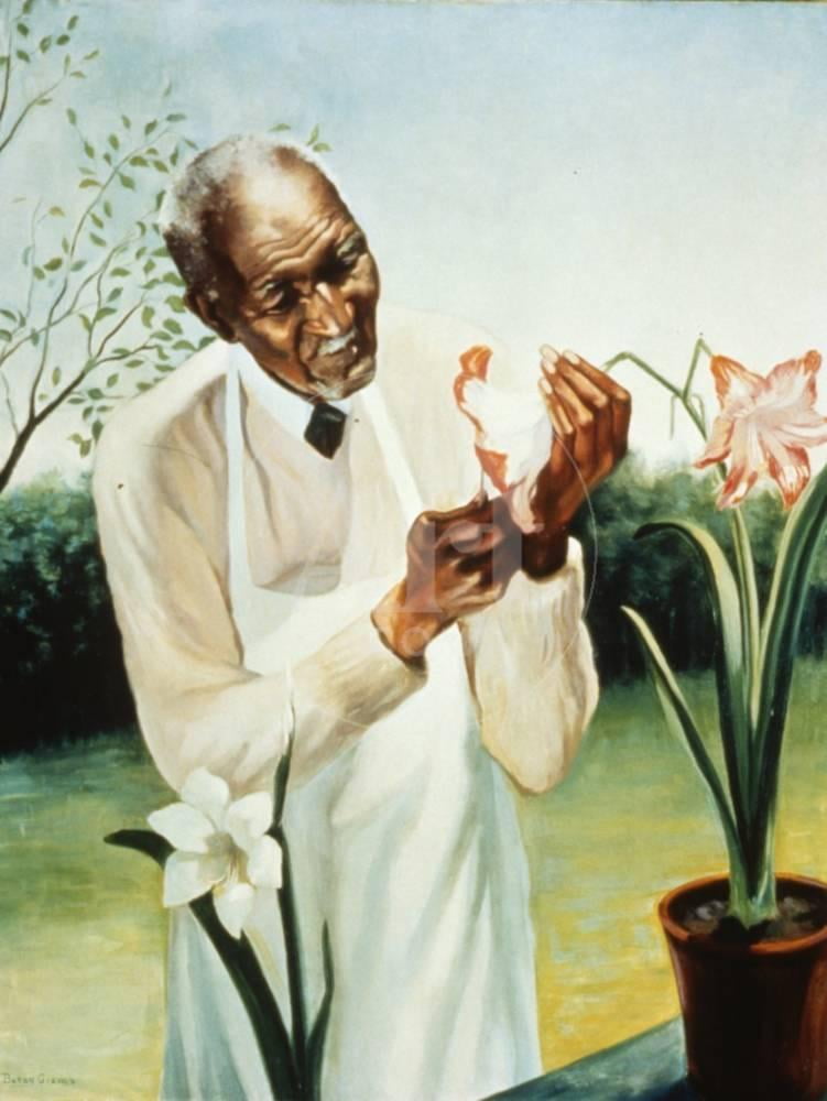 George Washington Carver, Unframed Photographic Print Wall Art Sold by ...