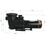 Rx Clear 2 HP Mighty Niagara Pump for Inground Pools up to 46,450 ...