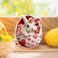2D Flat Easter Bunny Acrylic Decoration Hanger, Cute Holiday Home Decor ...