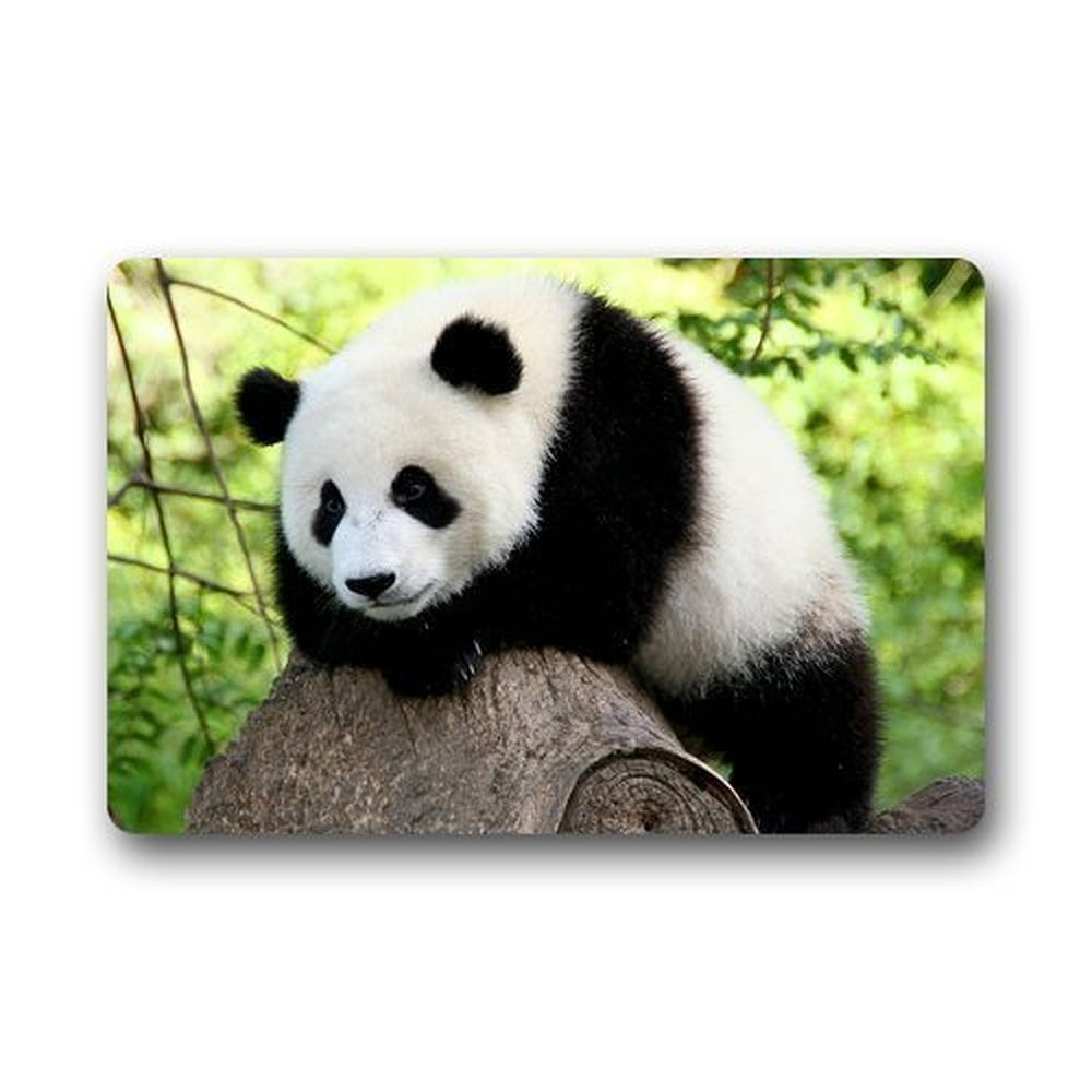 WinHome Bamboo Panda Bear Doormat Floor Mats Rugs Outdoors/Indoor ...