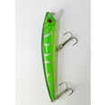 Wildlife Lures 4" inch Minnow Hard Fishing Lure Bait (Bird Wrasse Bass ...