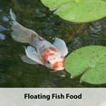Kaytee Koi's Choice Koi Floating Fish Food 10 LB Bag - Walmart.com