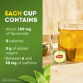 Lipton Signature Blend Green Tea Bags, Unsweetened Teabags for Hot Tea ...