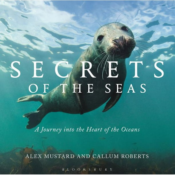 Secrets of the Seas : A Journey Into the Heart of the Oceans (Hardcover ...