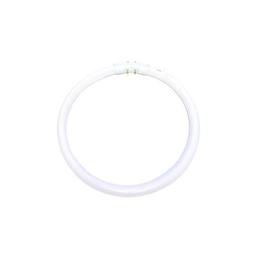 (2 Pack) FC22T5/841 - 9 T5 Flurescent Circline - 40 Watt - 4100K Cool ...