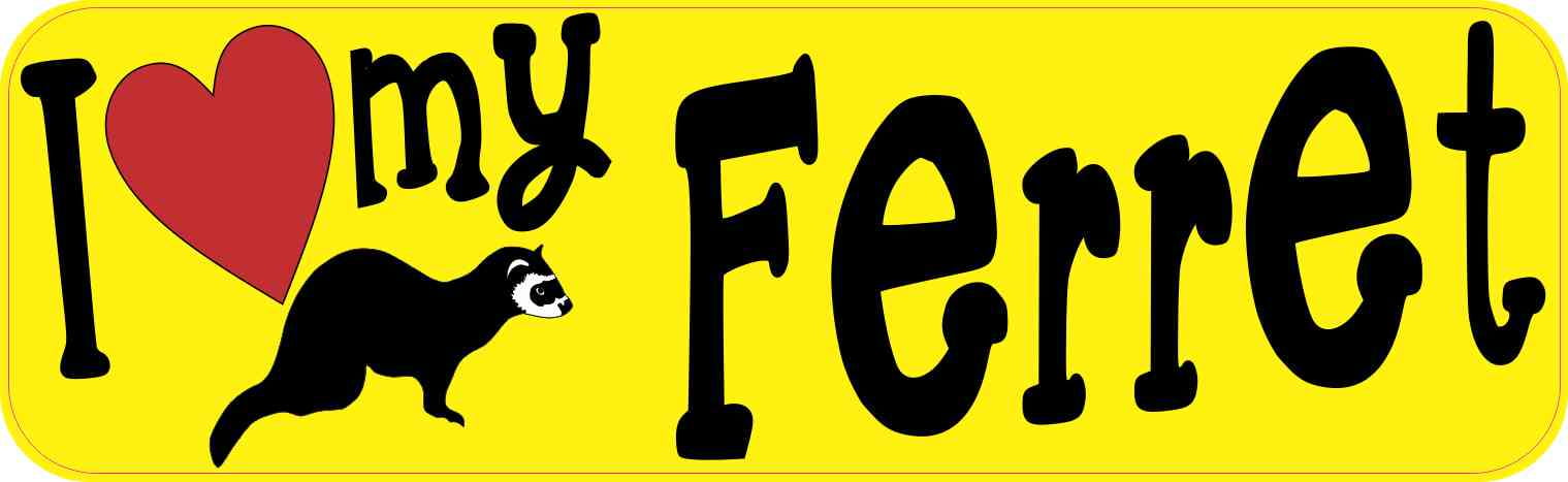 10in x 3in I Love My Ferret Magnet Car Door Magnetic Truck Magnets ...