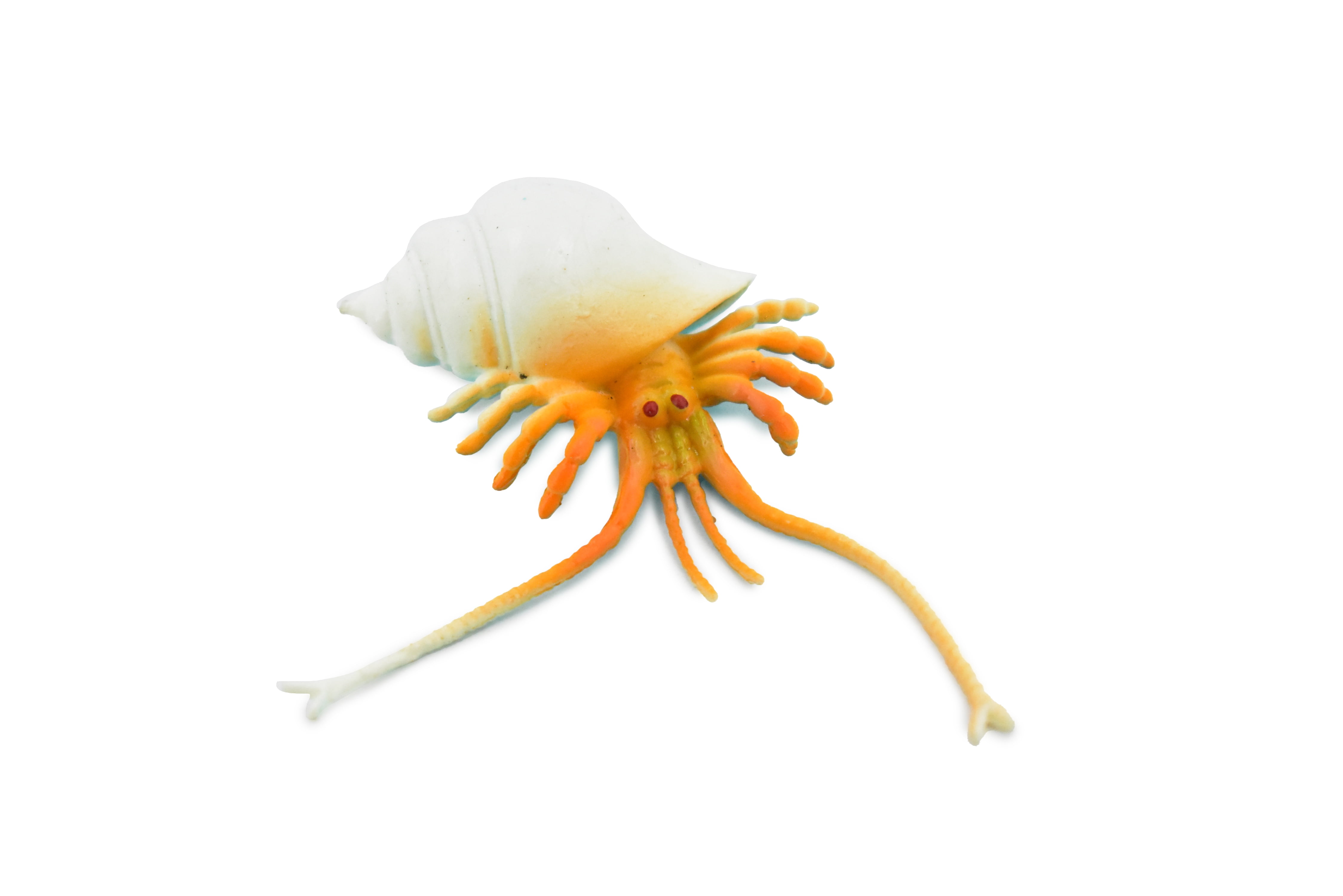 Crab, Hermit Crab, Plastic Crustaceans Design, Educational, Toy, Kids ...