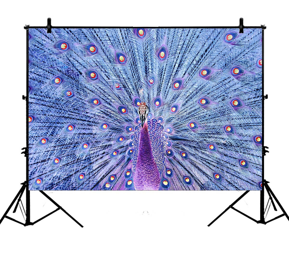 YKCG 7x5ft Awesome Peacock Photography Backdrops Polyester Photography ...