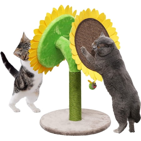 Cat Scratcher Tree - Bloom - Aesthetic Flower Design with Teasing Bees ...