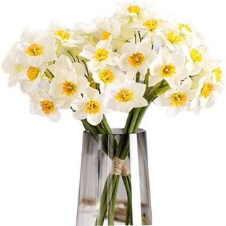 Summer Flower - edible wafer paper flowers - 12 pk - Walmart.com