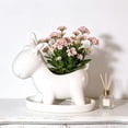 AOOOWER Contemporary Ceramic Pot With Drainage Hole For Enhancing ...
