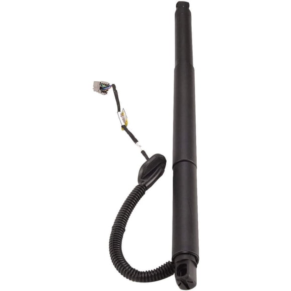 Tahoe Rear Hatch Struts