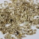 Shungiku - Three Color Daisy Seeds - 4 Oz - Non-GMO Edible Flower ...