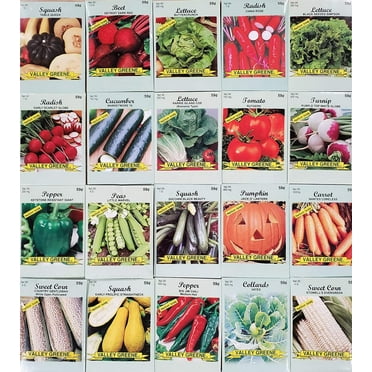 100 Assorted Heirloom Vegetable Seeds 100% Non-GMO (100, Deluxe ...