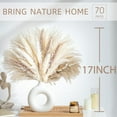 70PCS Natural Dried Pampas Grass Boho Home Decor Bouquet Phragmites ...