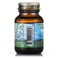 Chlorella Manna Powder - 20 Grams by HealthForce Nutritionals - Walmart.com
