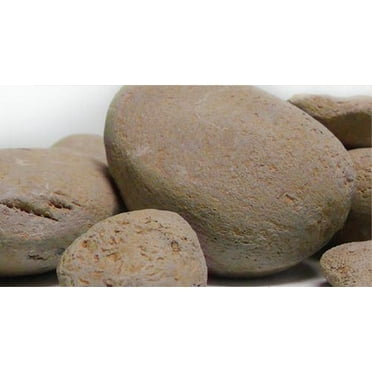 Leca Clay Pebbles (aka Hydroton Clay Stone) - Expanded Clay for Plants ...