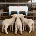 3L Goat Milk Feeder, Durable Feeding Bucket, Farm Drinking Equipment ...