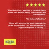 Natural Balance Brain Pep | Brain Function Supplement with Ginkgo ...