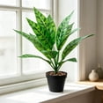 Artificial Potted Zebra Plant With Green PVC Leaves 17.71in Height For ...