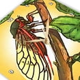 3drose, Cicada Insect Black Outline Art, 15x15 Wall Clock - Walmart.com