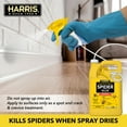Harris Outdoor Indoor Insect Liquid Household Insecticide - Spider ...