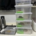 10-Pack Reptile Feeding Boxes, Small Plastic Terrarium Containers with ...