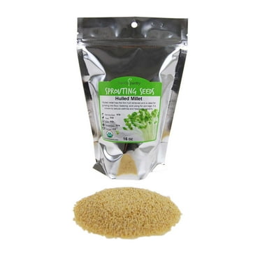 Organic Whole (Hull Intact) Millet Seeds: 5 Lb - Cereal Grain ...