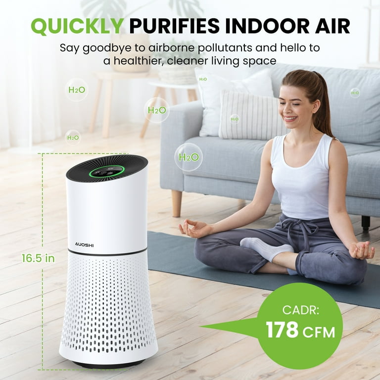 Ozone free air purifier store