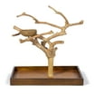Prevue Pet Parrot Playstand, Large Coffeawood Java Tree Floor Stand ...
