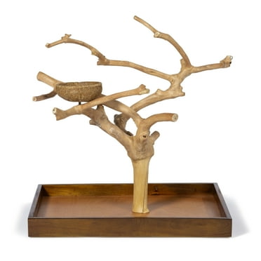 Prevue Pet Parrot Playstand, Large Coffeawood Java Tree Floor Stand ...