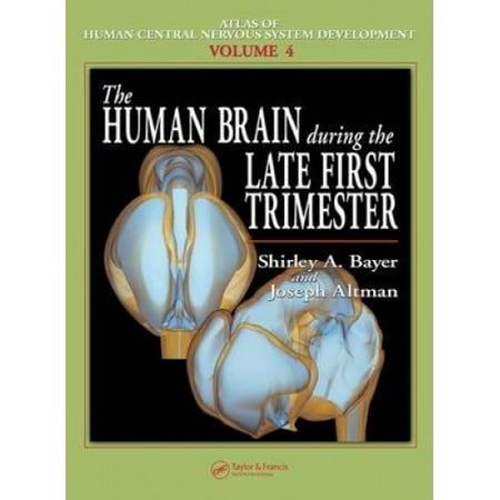 The Human Brain During the Late First Trimester (Atlas of Human Central ...